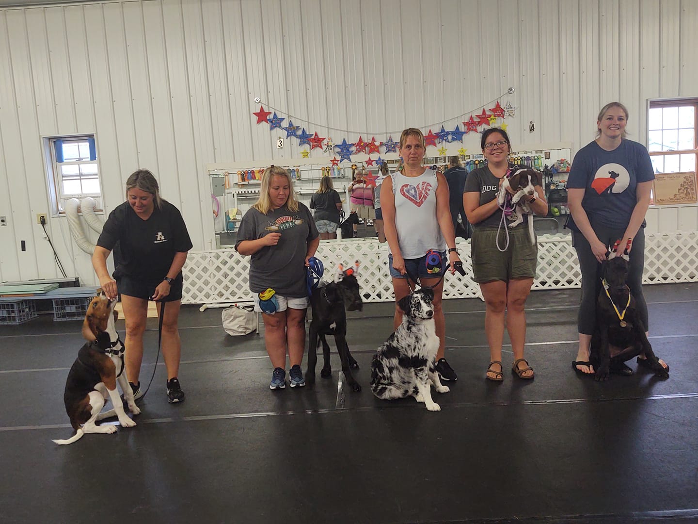 Puppy & Pet Obedience Classes – Canine Sports