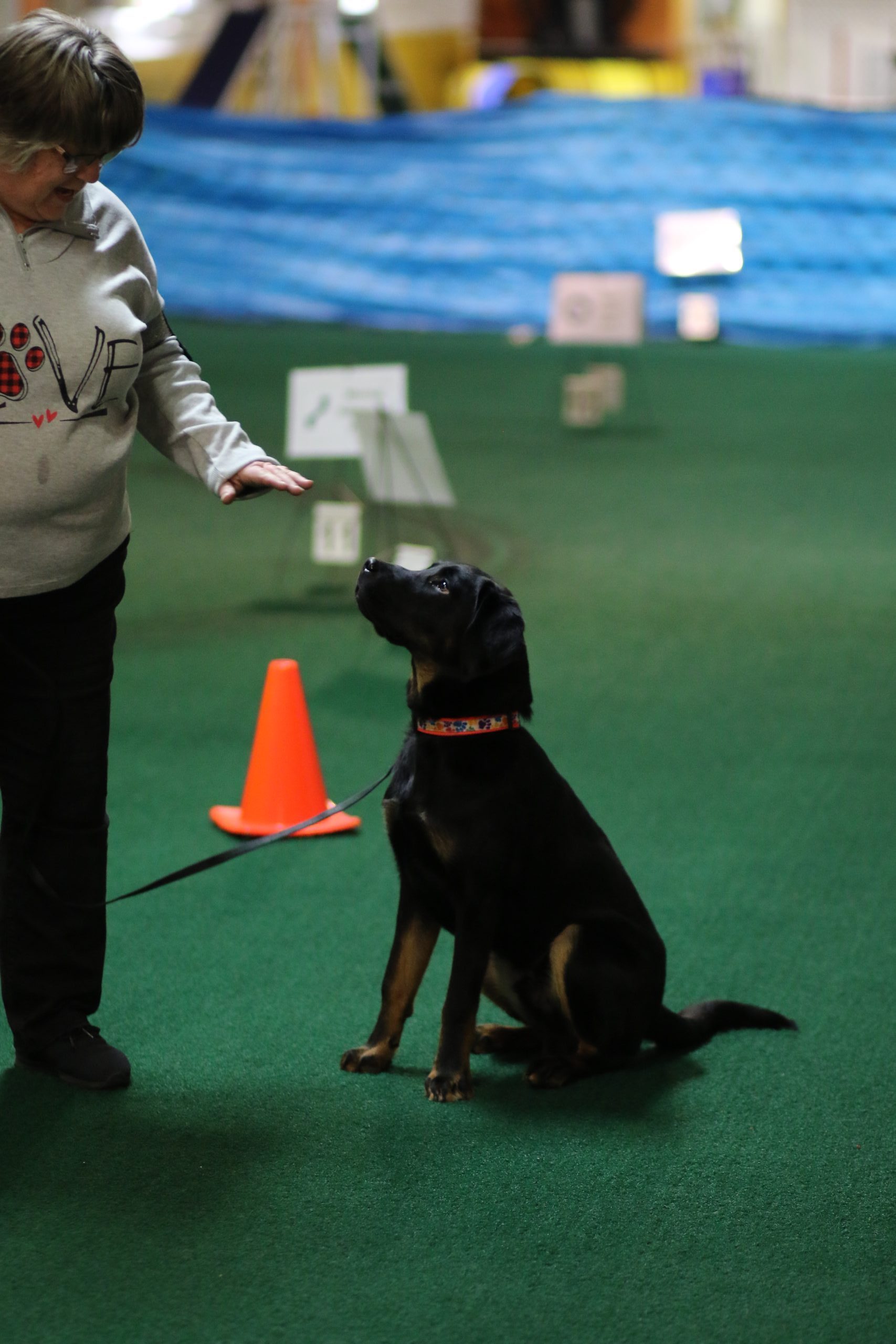Class Schedule – Canine Sports