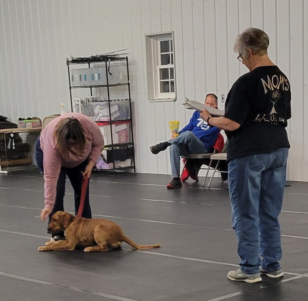 Class Schedule – Canine Sports